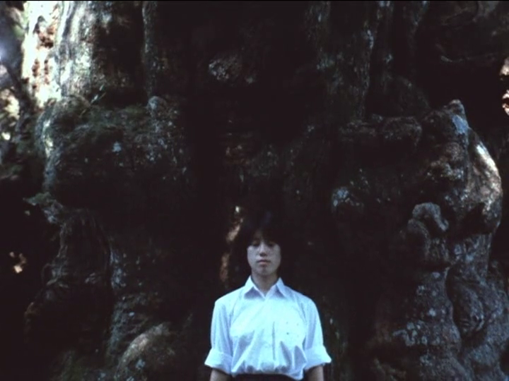 Fiction | Tripping Backwards into Heaven